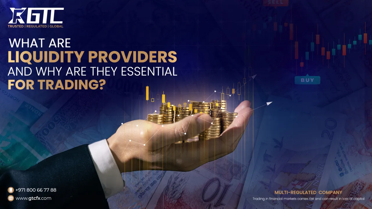 What Are Liquidity Providers : Their Role In Forex & Importance in Trading